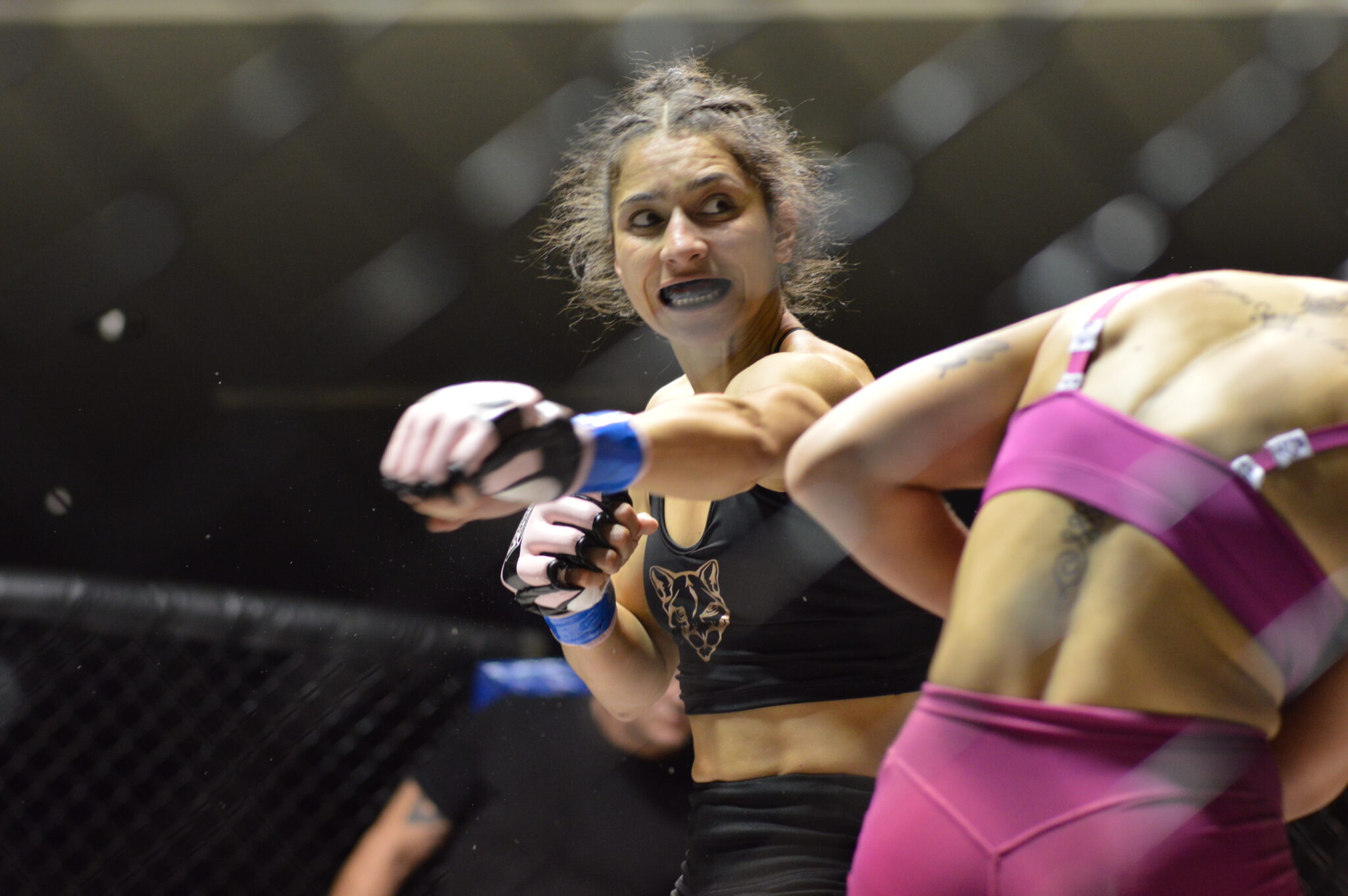 Home - Northwest Fight Promotions