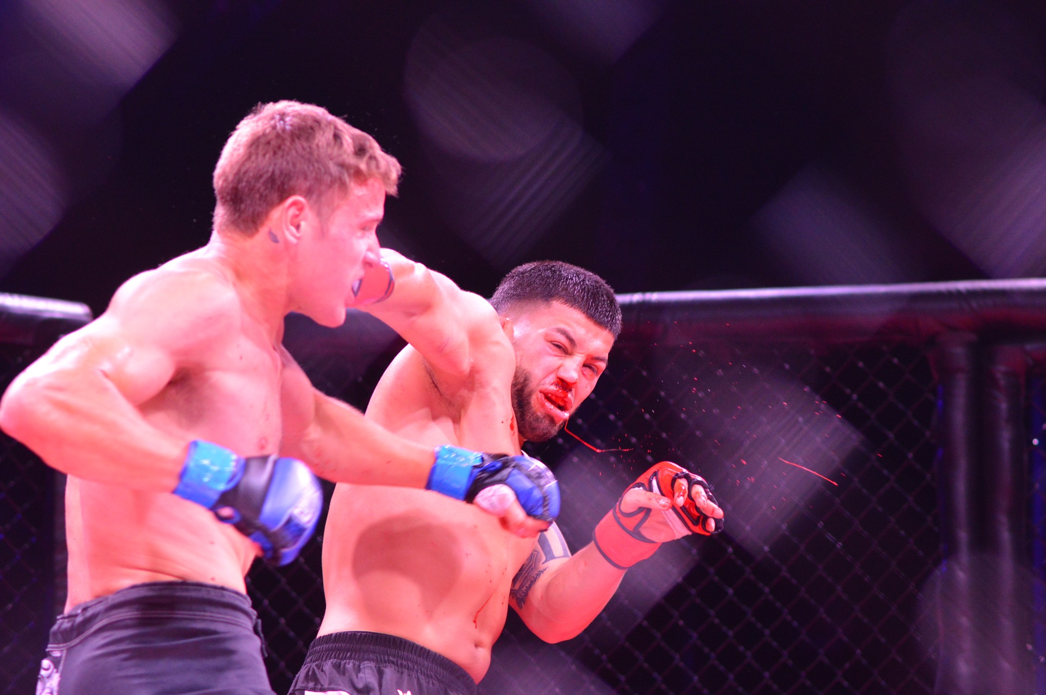 Home - Northwest Fight Promotions